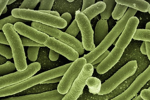 Leucorrhée : causes, symptômes et traitement - Detective Santé : le blog
