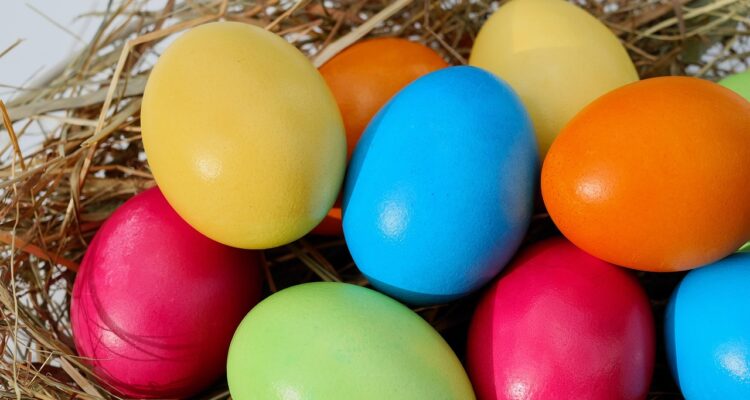 Œufs : calories et valeurs nutritionnelles - Detective Santé : le blog